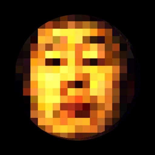 Anonymovie Hide My Face and Voice by FCW Consulting LLC