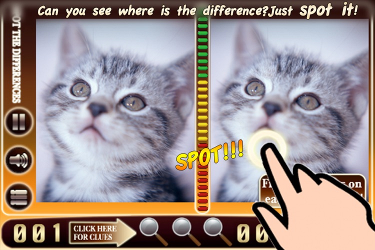 Spot The Difference - cats Lite by mingzhang cai