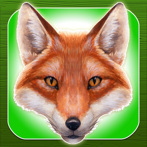 A What Does The Fox Jump Endless Runner Animal Racing Game by Awesome ...