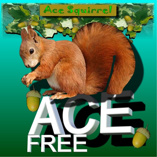 Ace Squirrel Nut Catcher FREE Version. by Loracrow