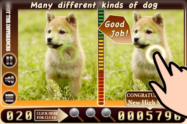 Spot The Difference - dogs Lite by mingzhang cai