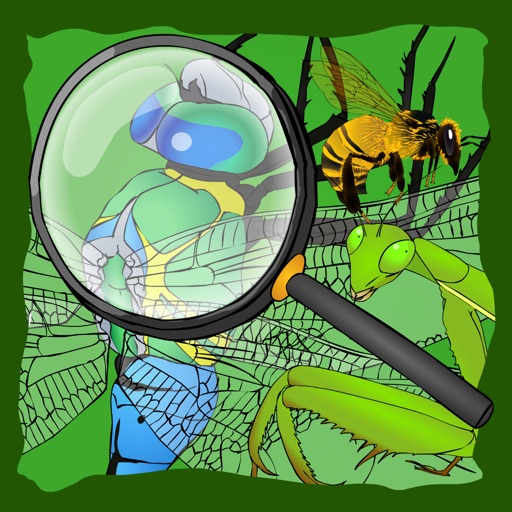 Find The Hidden Insects by Salvador Nunez