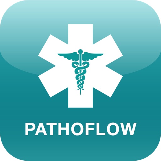 Pathoflow by Rory Flynn