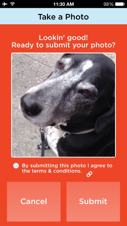 Woofipedia by American Kennel Club