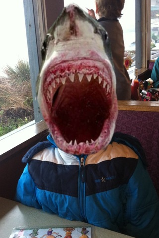 Animal Head Photo Mashup by Cabel Adams