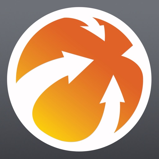 Visual Fusion by IDV Solutions