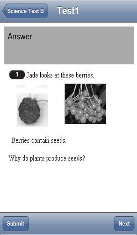KS2 Science Tests by S Gupta