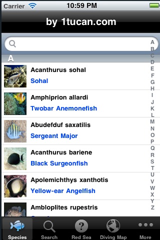 Red Sea Fish id by AhorrecompArando