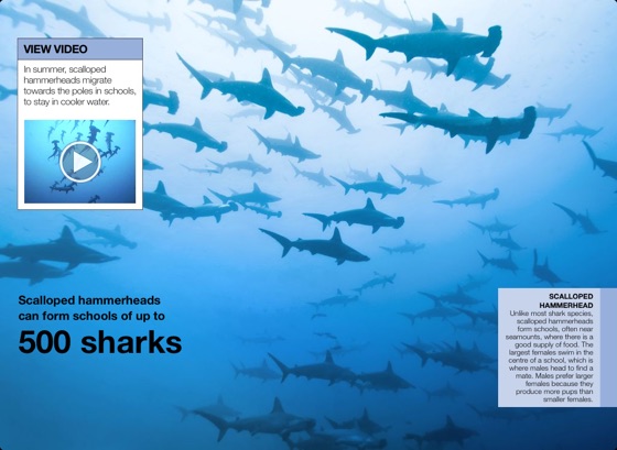 ‎Pocket Eyewitness Shark on Apple Books