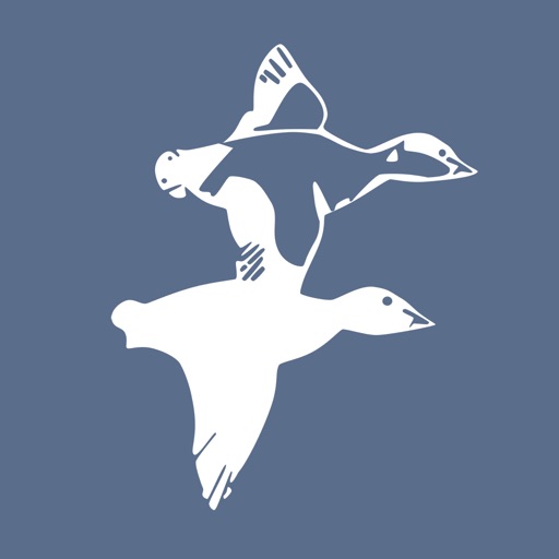 BSP Reports by Mine avasta/Walk & Learn