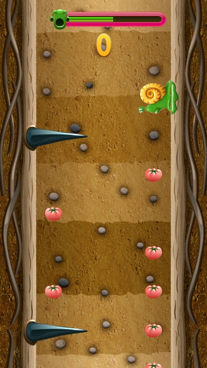 Snail Hop and Bob by Jonnie Whitaker