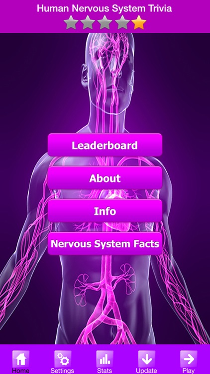 Human Nervous System Trivia Game by Hasan Cakir