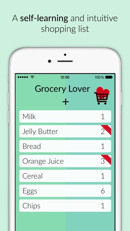 Grocery Lover: Shopping List by Michael Popow