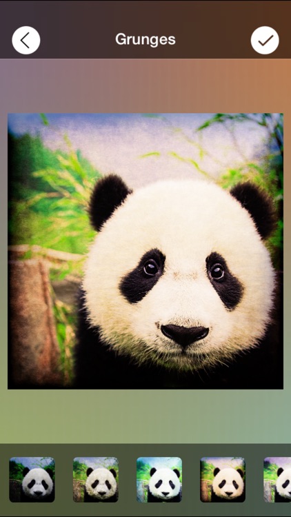 Pic Mix - Frames by Millennium Maximus