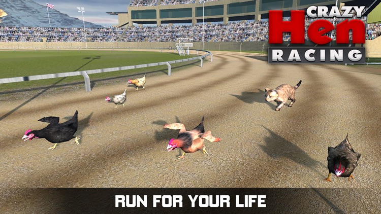 Hen Racing Simulator - Race Free Range Chickens by Atif Mumtaz