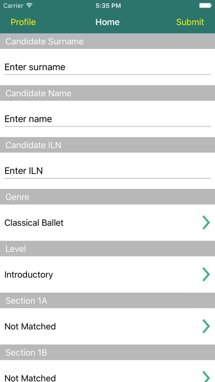 Independent Dance Training by Helen Havis