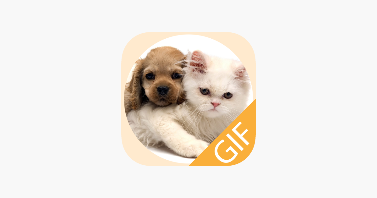 ‎Pet Stickers - Cats & Dogs Animated Gif Stickers on the App Store