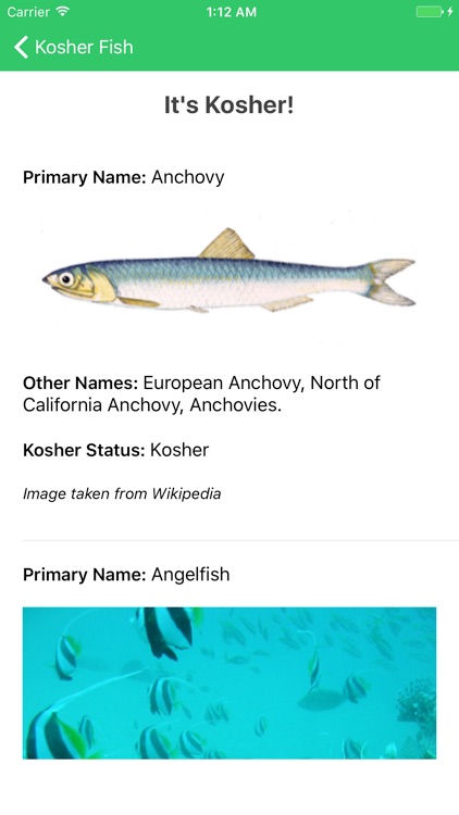 Kosher Fish: Is It Kosher? by Narrow Bridge Media