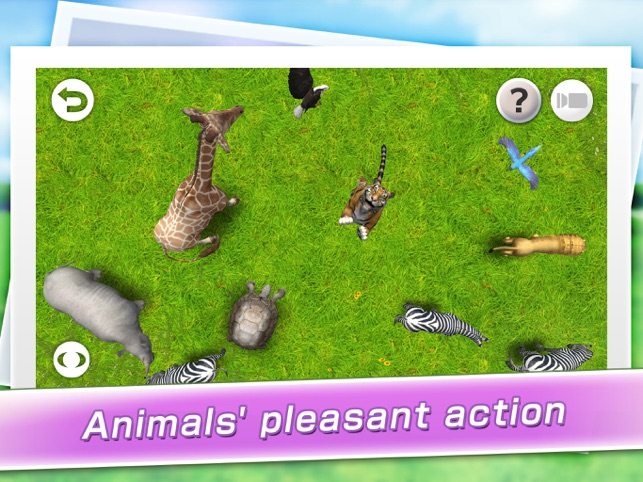 Real Animals Pictures For Kids