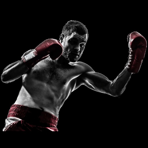 Combo Fighter Workout - Strength Routine by Alexandru Paduraru