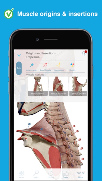 Human Anatomy Atlas - 3D Anatomical Model Body by jignesh thakkar