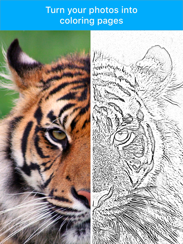 【iOS APP】Colorscape – color your photo‪s‬ 幫你的照片換上新色彩~照片著色畫 – Dr.愛瘋 APP Navi