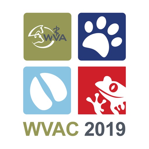WVAC 2019 by SINFOPAC INTERNACIONAL SL.
