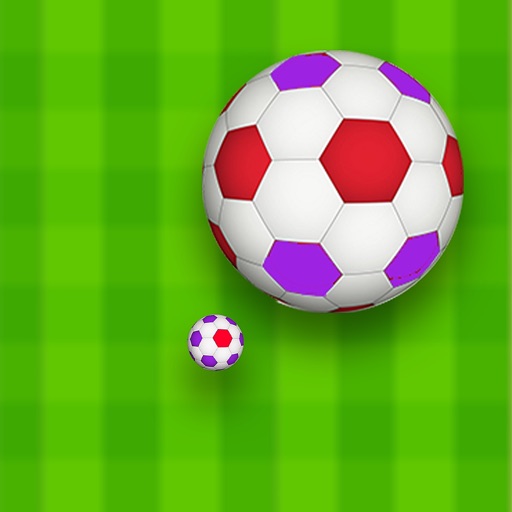 Bisen Koo by Brent Riddle