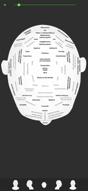 Open Mind Portrait Graphic Organizer
