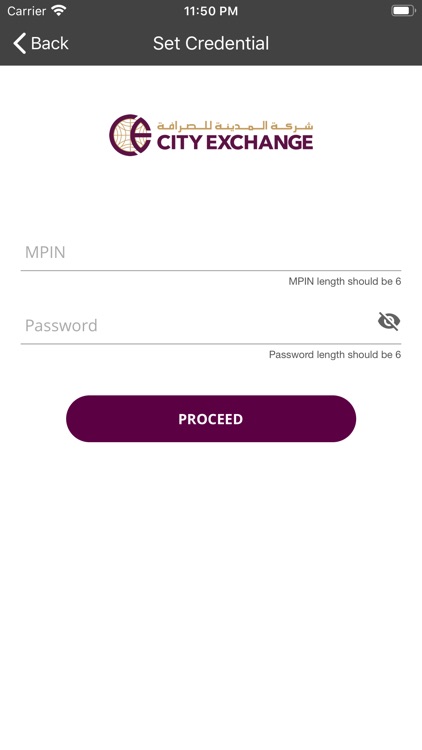 City Exchange Remit Online by City Exchange Company W.L.L. Doha Qatar