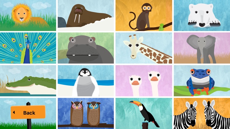 Peek-a-Zoo: The Collection by treebetty LLC