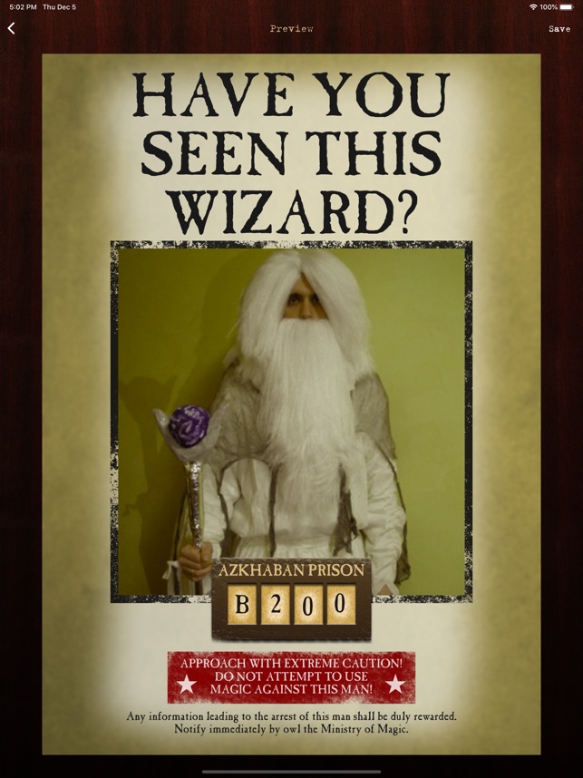 Have You Seen This Wizard Poster Template