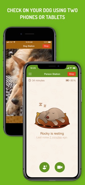 How Does The Dog Monitor App Work