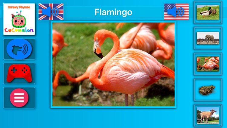 Identify Sounds by Their Songs by Mohammad Azmal