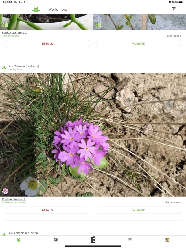 10 Best Free Plant Identification Apps for iPhone | GetAndroidStuff