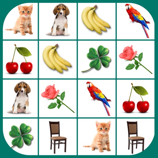 Brain game. Picture Match by Alejandro Castagnolo Martinez