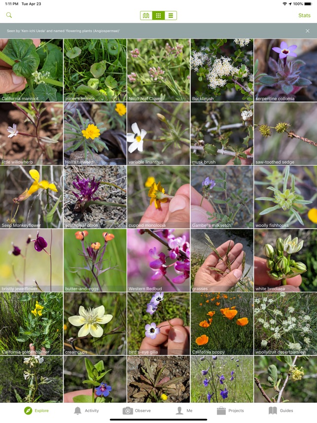 10 Best Free Plant Identification Apps for iPhone | GetAndroidStuff