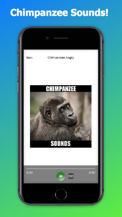 Real Chimpanzee Sounds by Scott Dawson