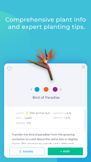 iScape for iPhone - APP DOWNLOAD