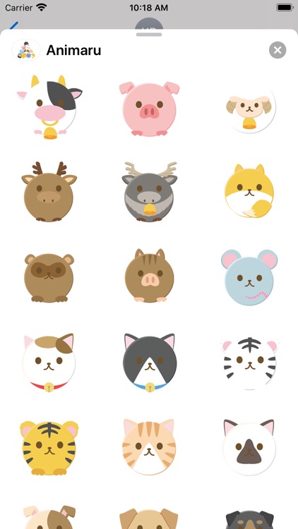 Animaru by kazuya fujinami