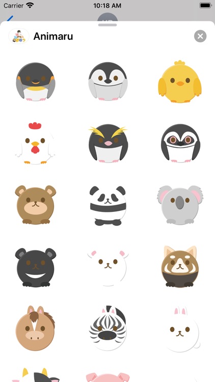 Animaru by kazuya fujinami