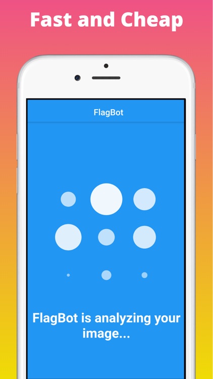 FlagBot - Flag Identification by Sam Niebergall