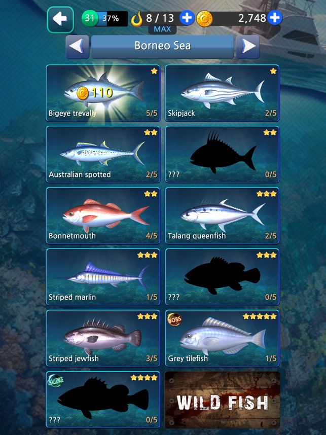 Fishing Hook With Fish