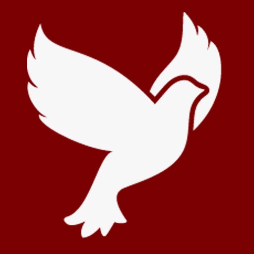 Passport - Project Mercy by Acts Media Inc.