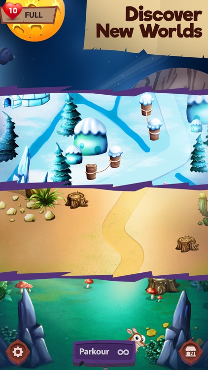 Armadillo Adventure by Hopes