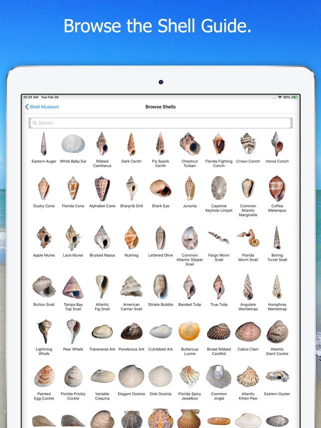 Shell Classification