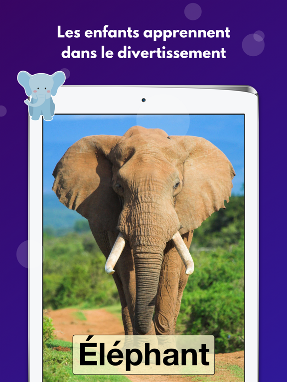 Télécharger Sound Touch Lite - Flash Cards pour iPhone / iPad sur l'App ...