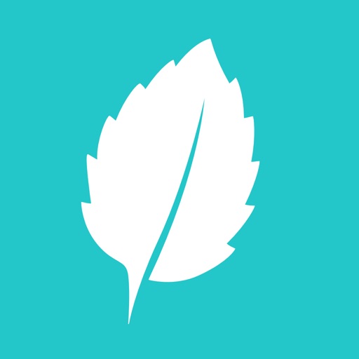 Mintly Invoice by Neovibrant LTD