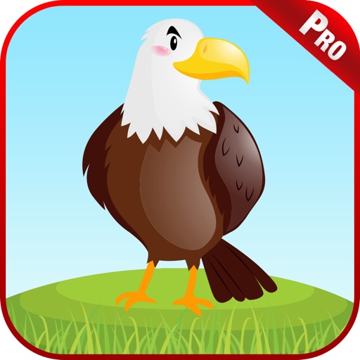 Birds Animal Sounds Kids Games by Learning Apps