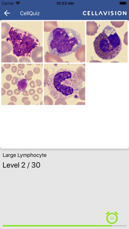 CellAtlas by CellaVision